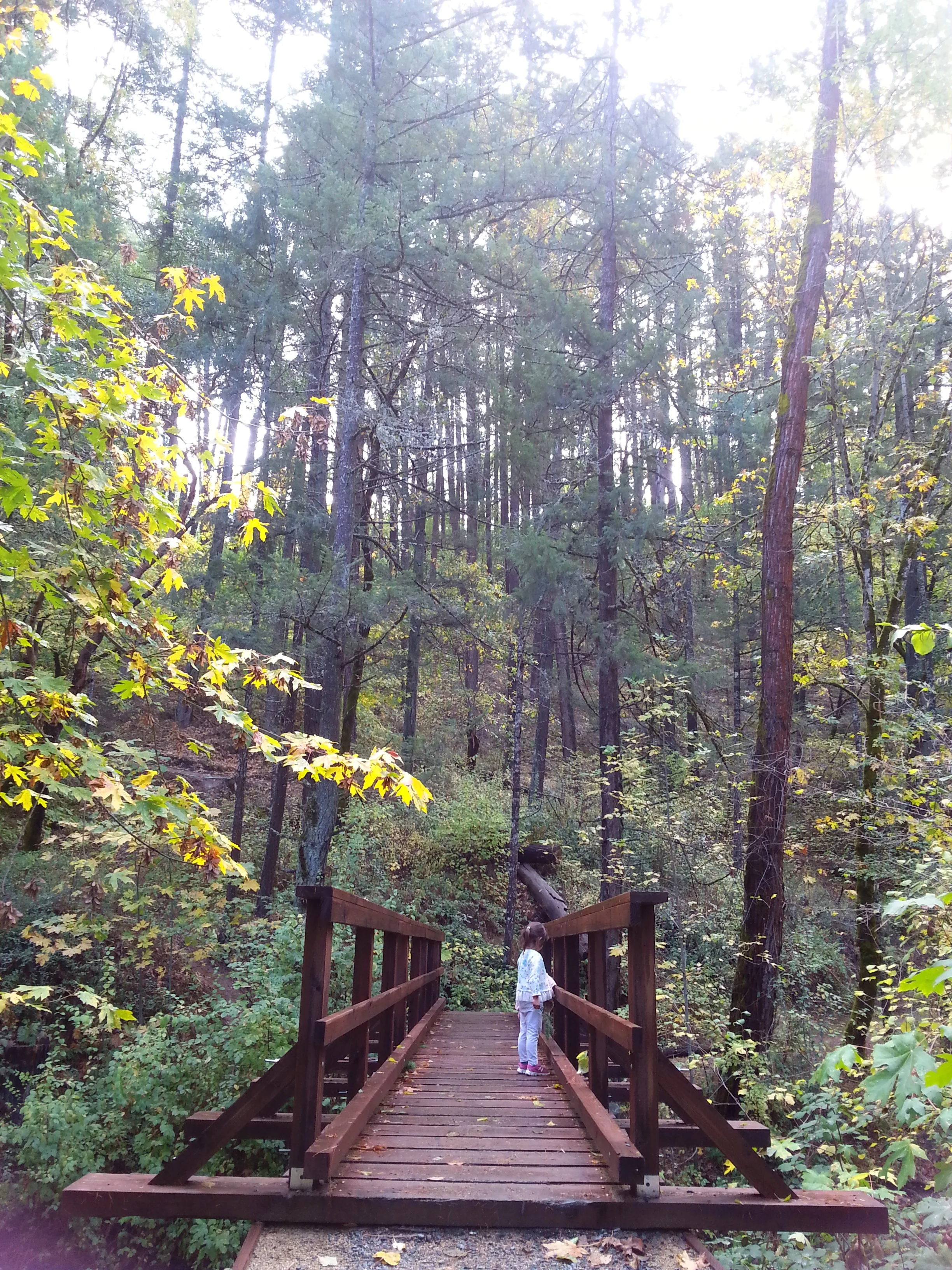 Where to Hike for the Best Fall colors in Southern Oregon - Medford