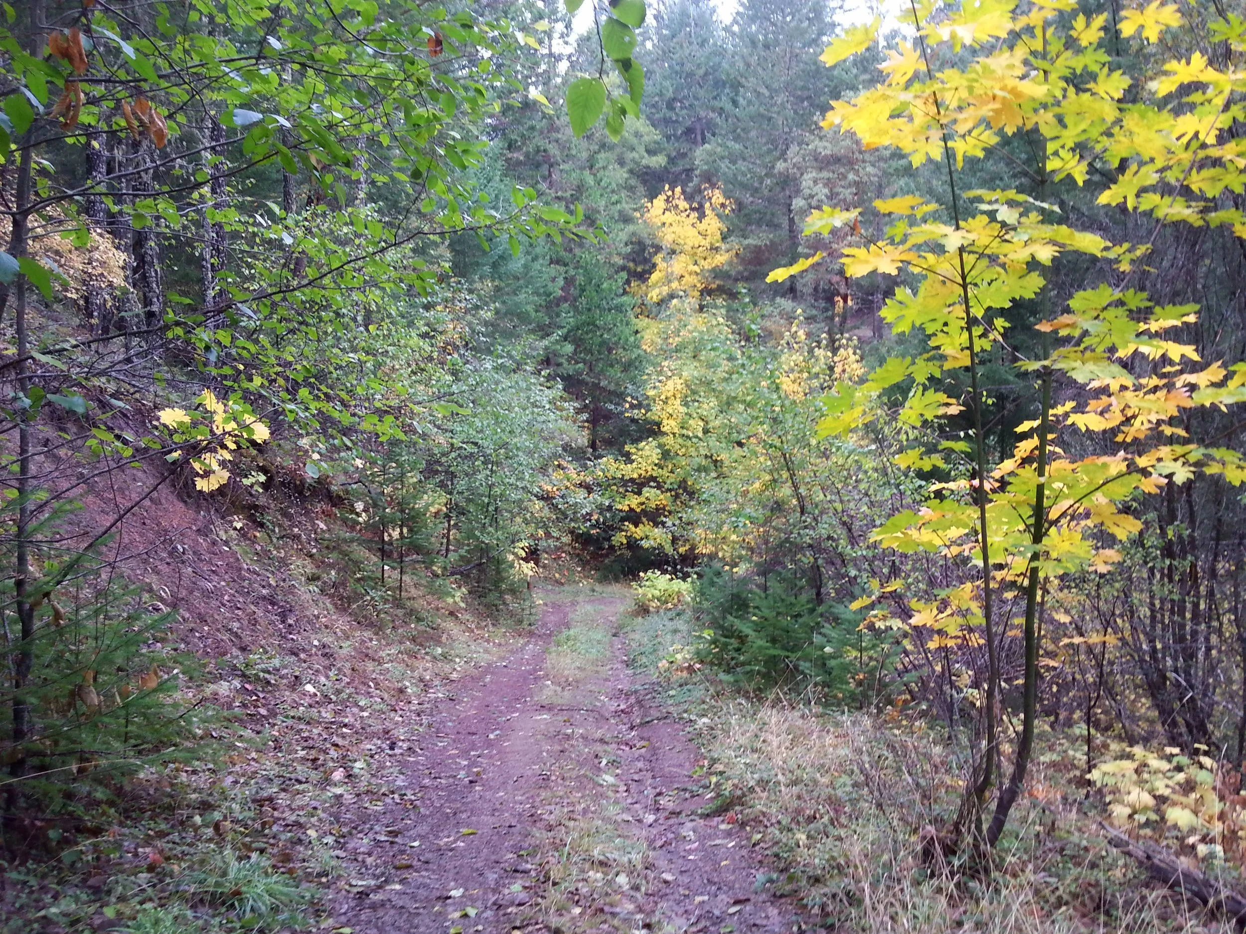 Where to Hike for the Best Fall colors in Southern Oregon - Medford