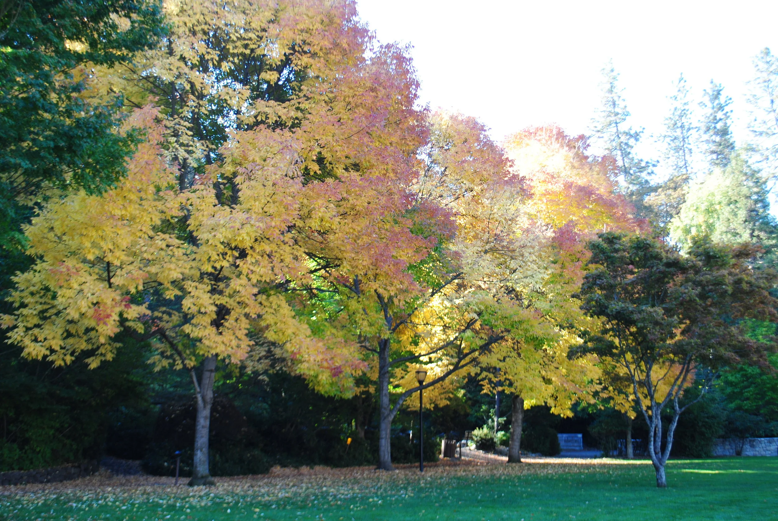 Where to Hike for the Best Fall colors in Southern Oregon - Medford
