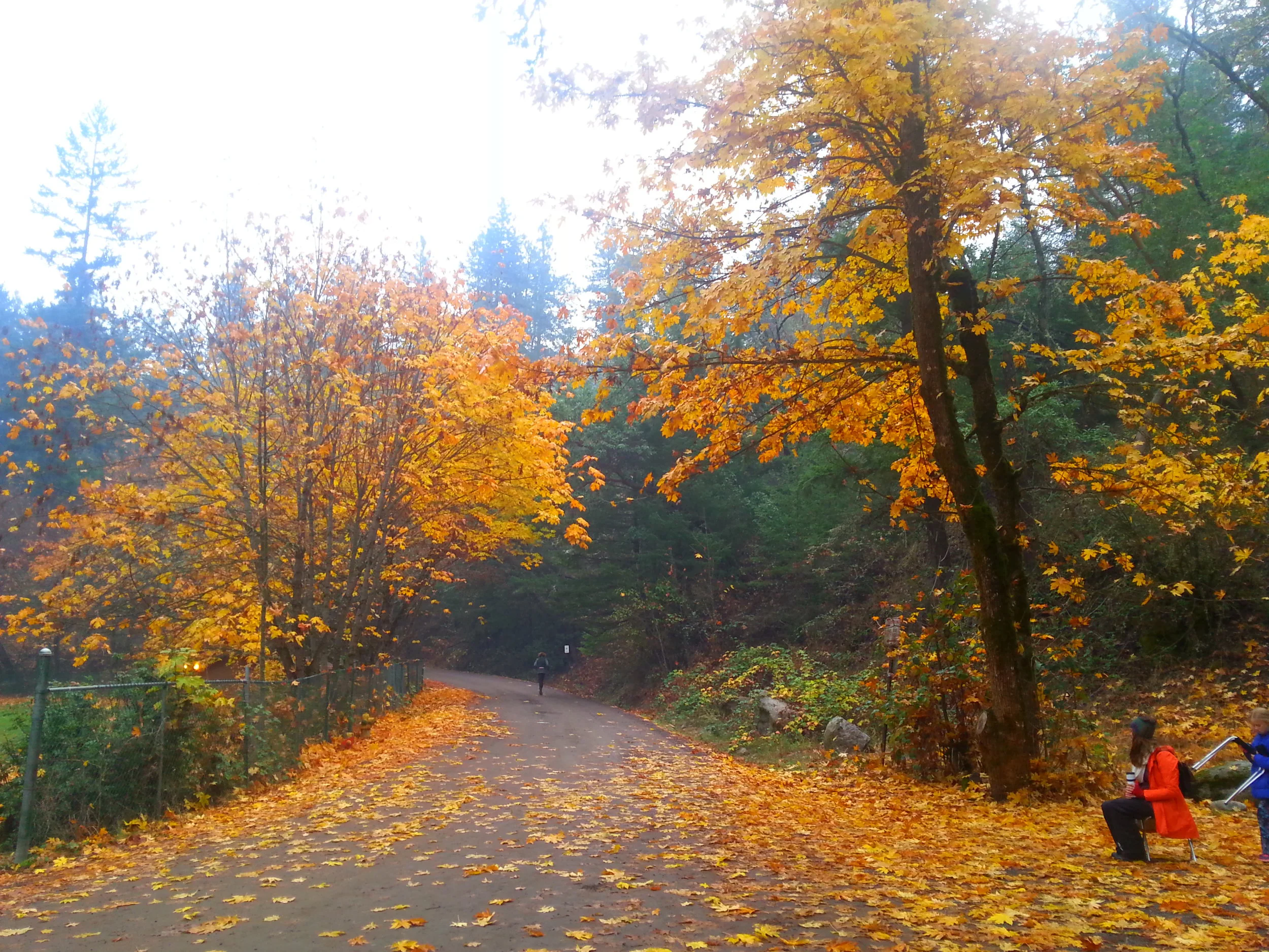 Where to Hike for the Best Fall colors in Southern Oregon - Medford