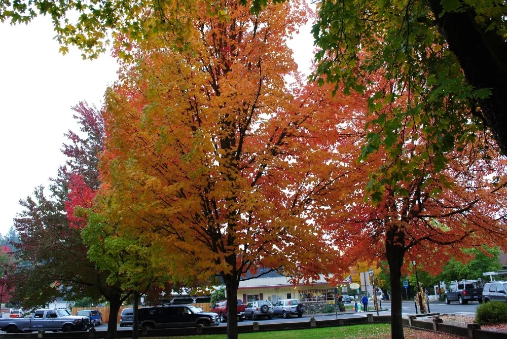Southern Oregon Fall Bucket List