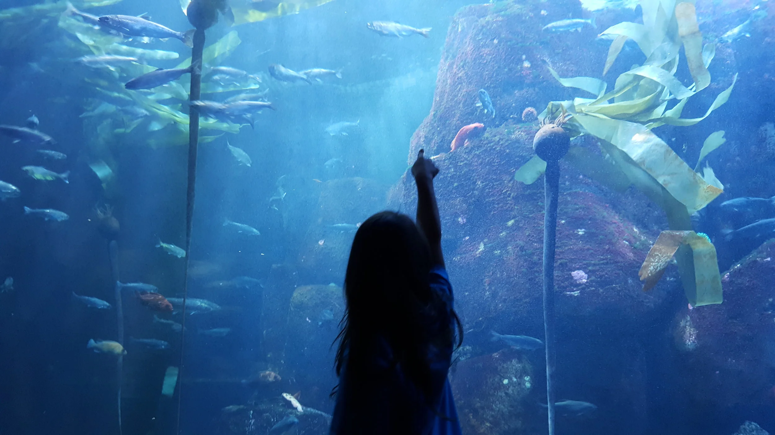 Oregon Coast Aquarium