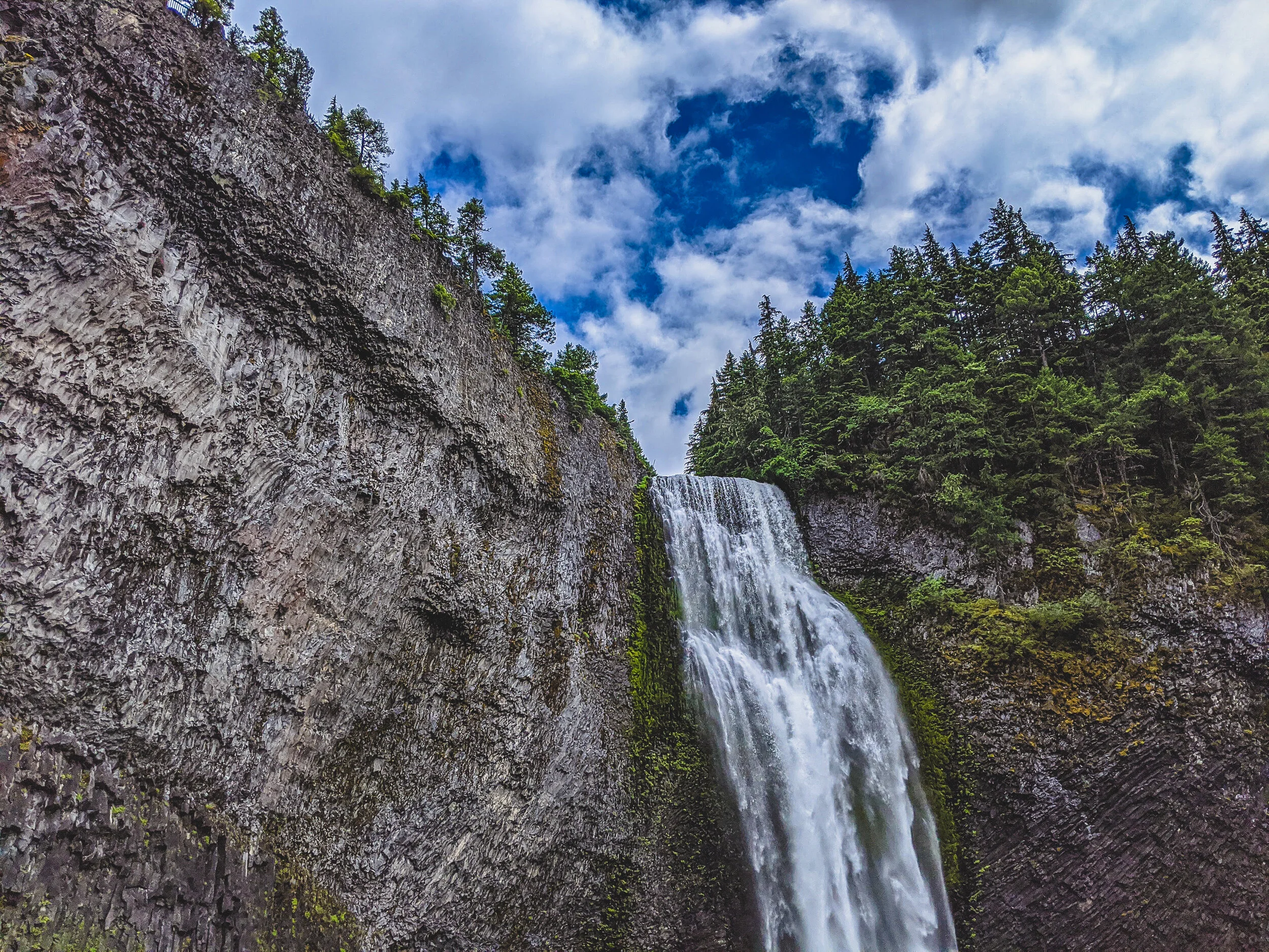 SALT CREEK FALLS - WATERFALL HIKING WITH KIDS