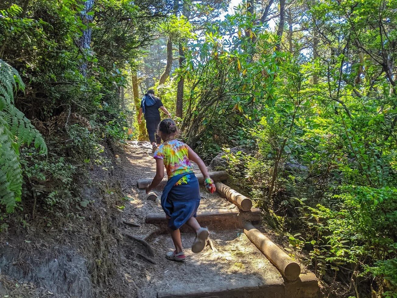 Hobbit Trail - Florence, Oregon