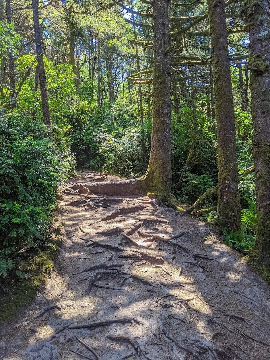 Hobbit Trail - Florence, Oregon