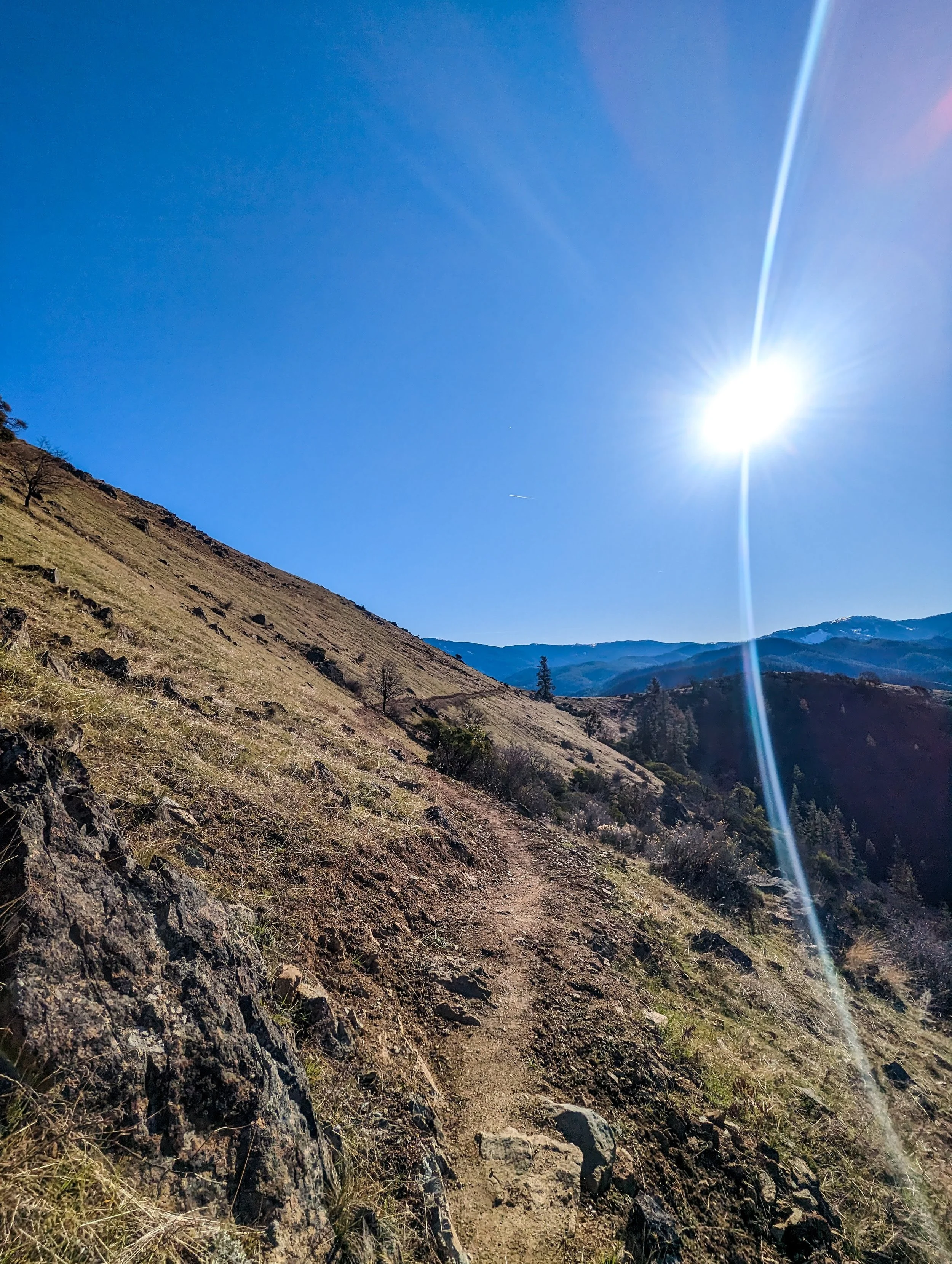 HIKING THE LITTLE APPLEGATE / SISKIYOU VIEWPOINT TRAIL