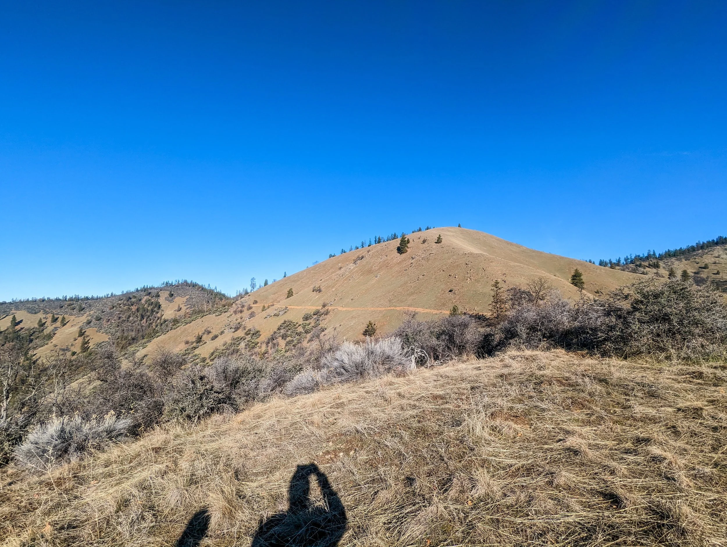 HIKING THE LITTLE APPLEGATE / SISKIYOU VIEWPOINT TRAIL