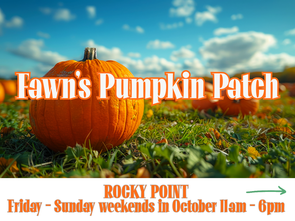 2025 Southern Oregon Pumpkin Patches - U-Pick - Farm Stands - fresh produce