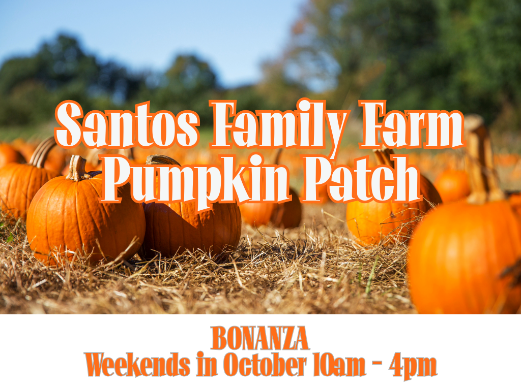 Southern Oregon Pumpkin Patches