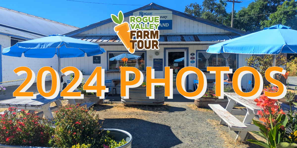 Rogue Valley Farm Tour - farms - makers - artisans - lavender