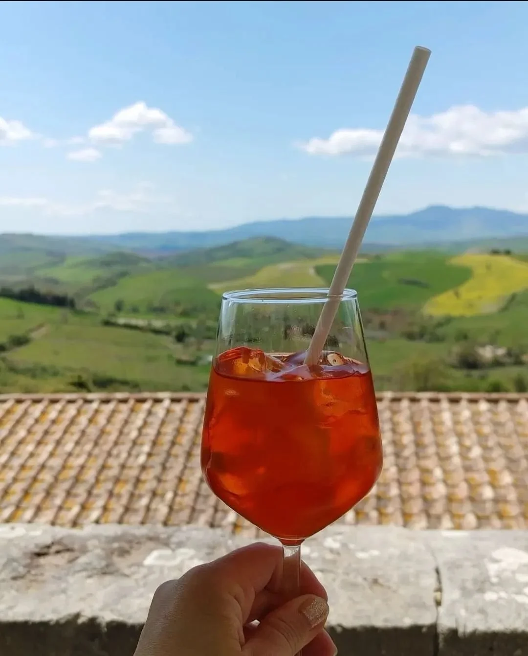 Tomatini - The Perfect Summer Cocktail - creative and colorful Italian ...