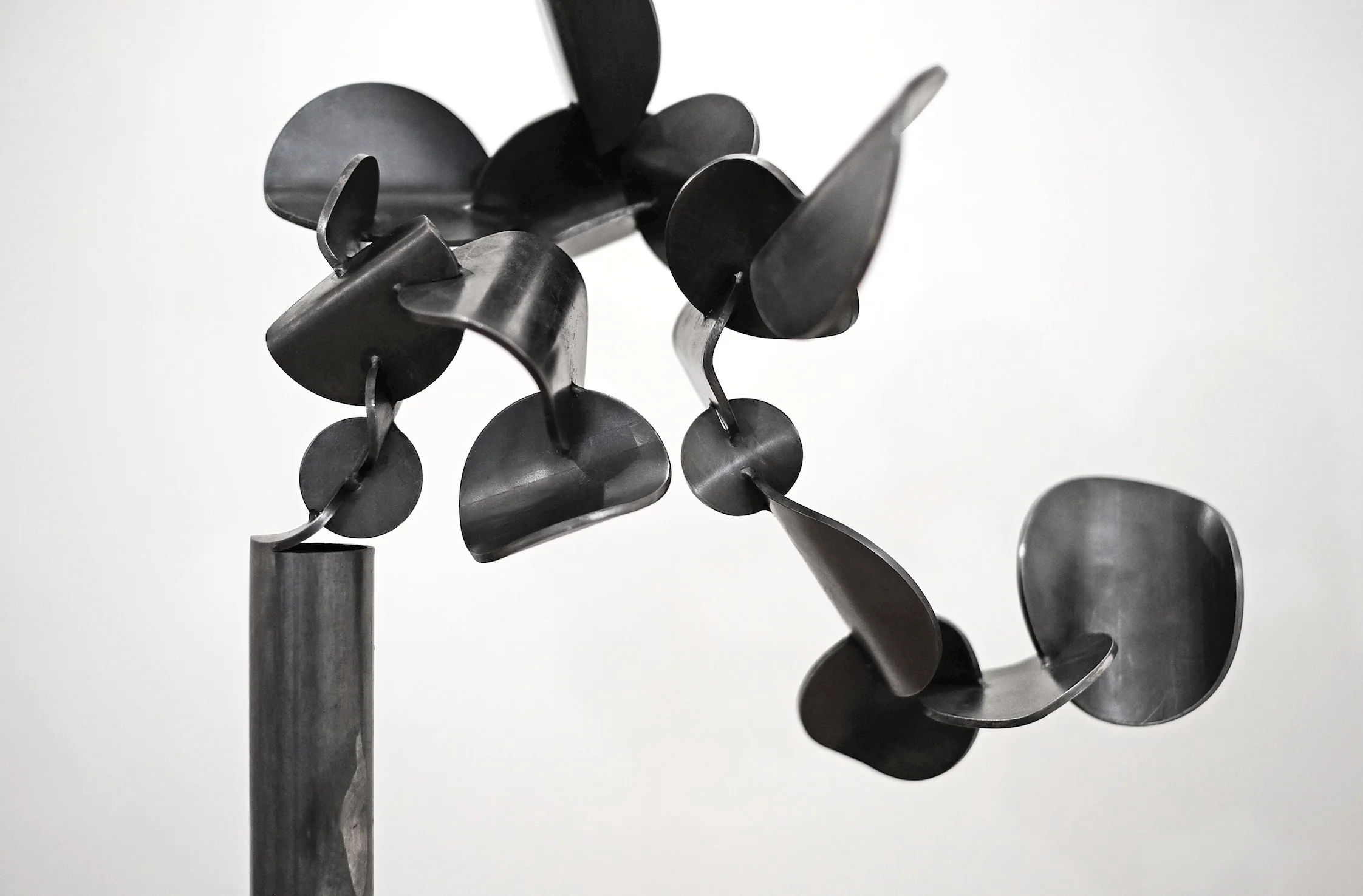 Work — David Murphy Studio