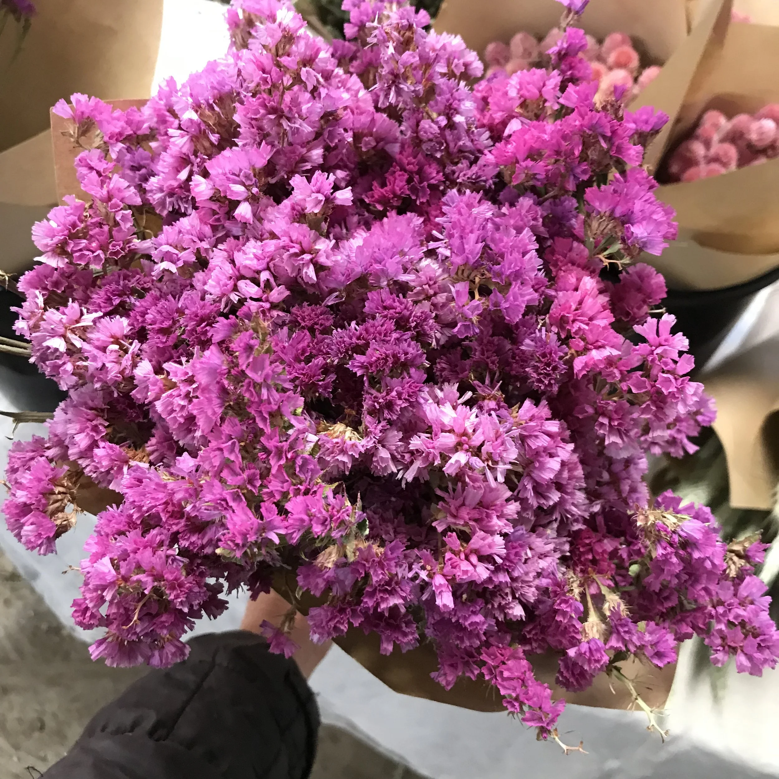 Farm Store — Mountain Roots Produce