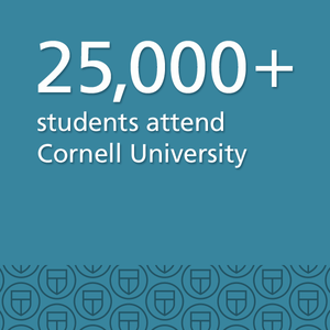 Cornell Law School's LLM Program Overview.