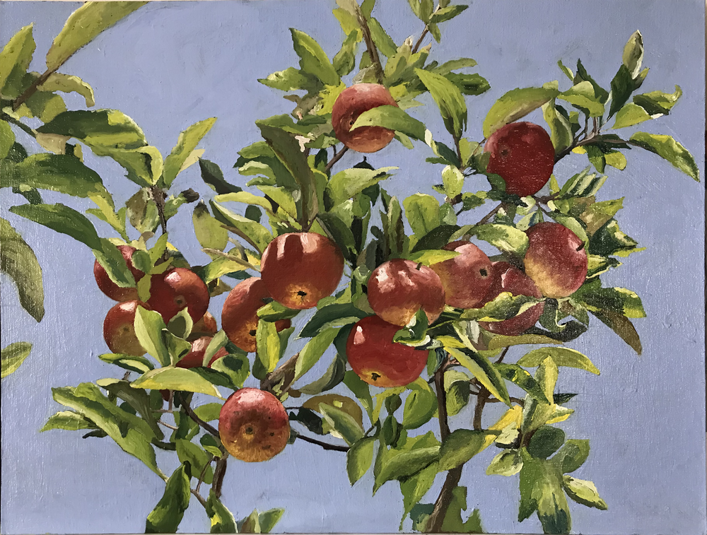 Famous Apple Tree Painting
