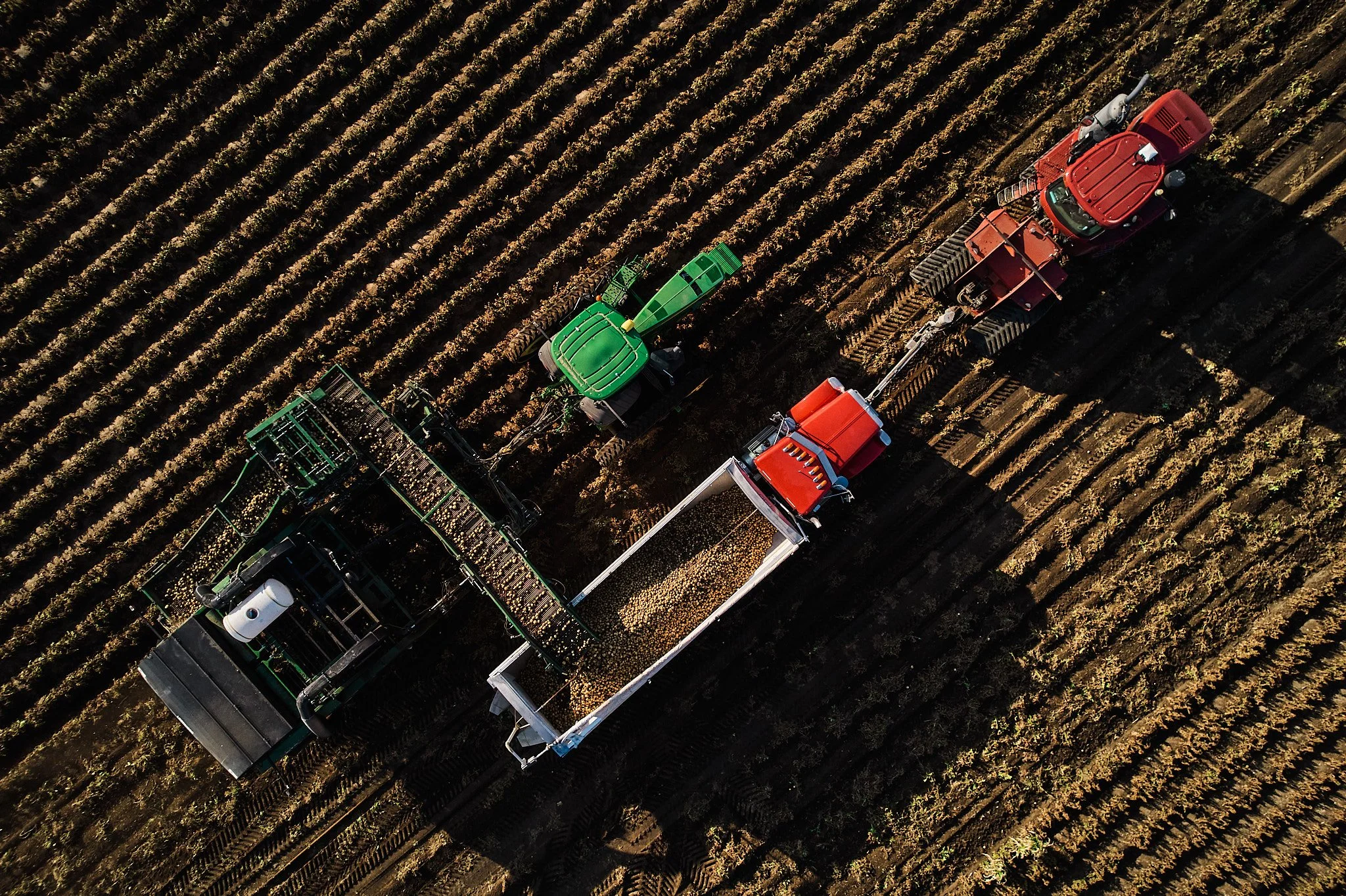 Best Phoenix, Arizona Brewery Photographer and Videographer Captures ...
