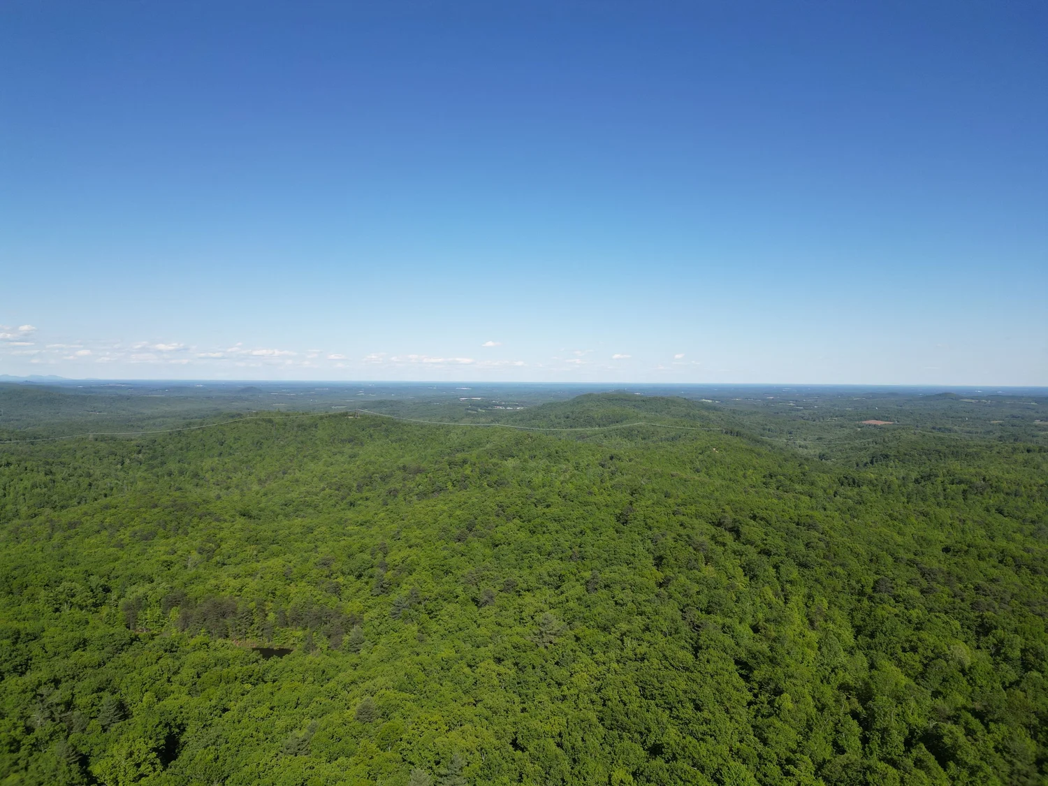 1,125 acres protected in the Brushy Mountains — Blue Ridge Conservancy