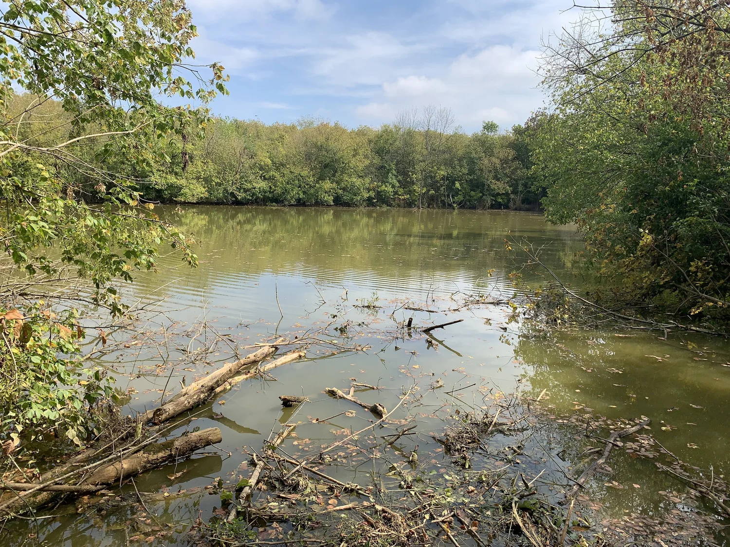 Protected Areas — Blue Ridge Conservancy