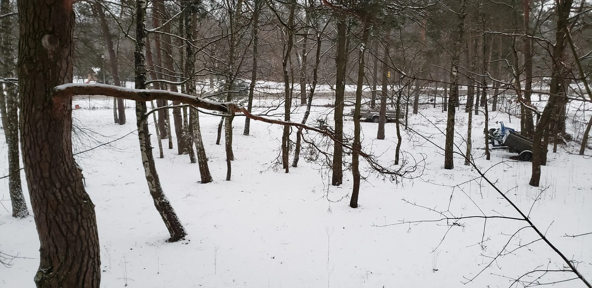 Cultural: Winter Break for the kids! — Quilted Twins