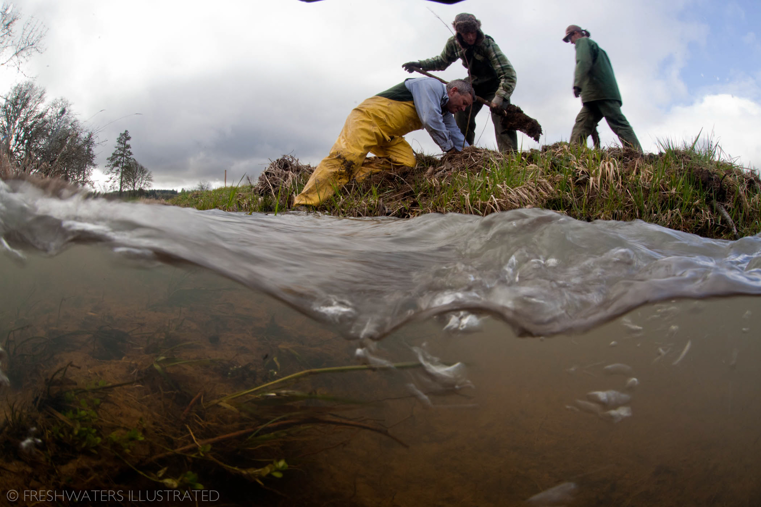 UPRIVER — Freshwaters Illustrated