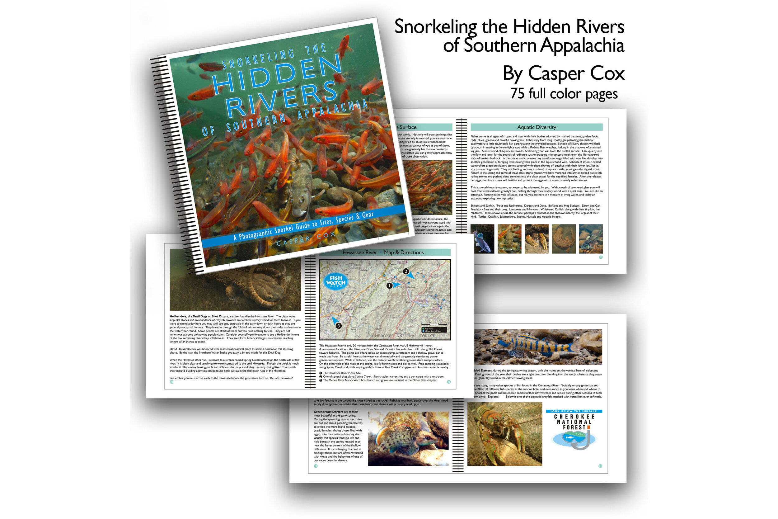 Hidden Rivers Products — Freshwaters Illustrated
