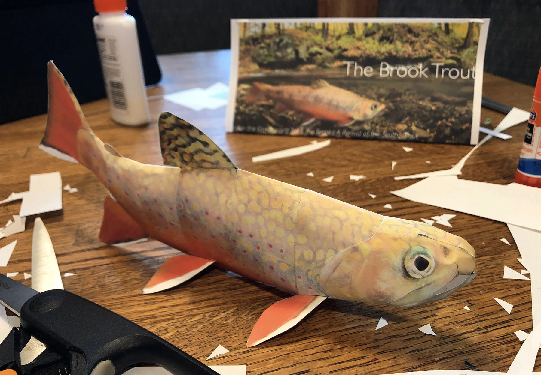 Bringing Back the Brooks — Freshwaters Illustrated