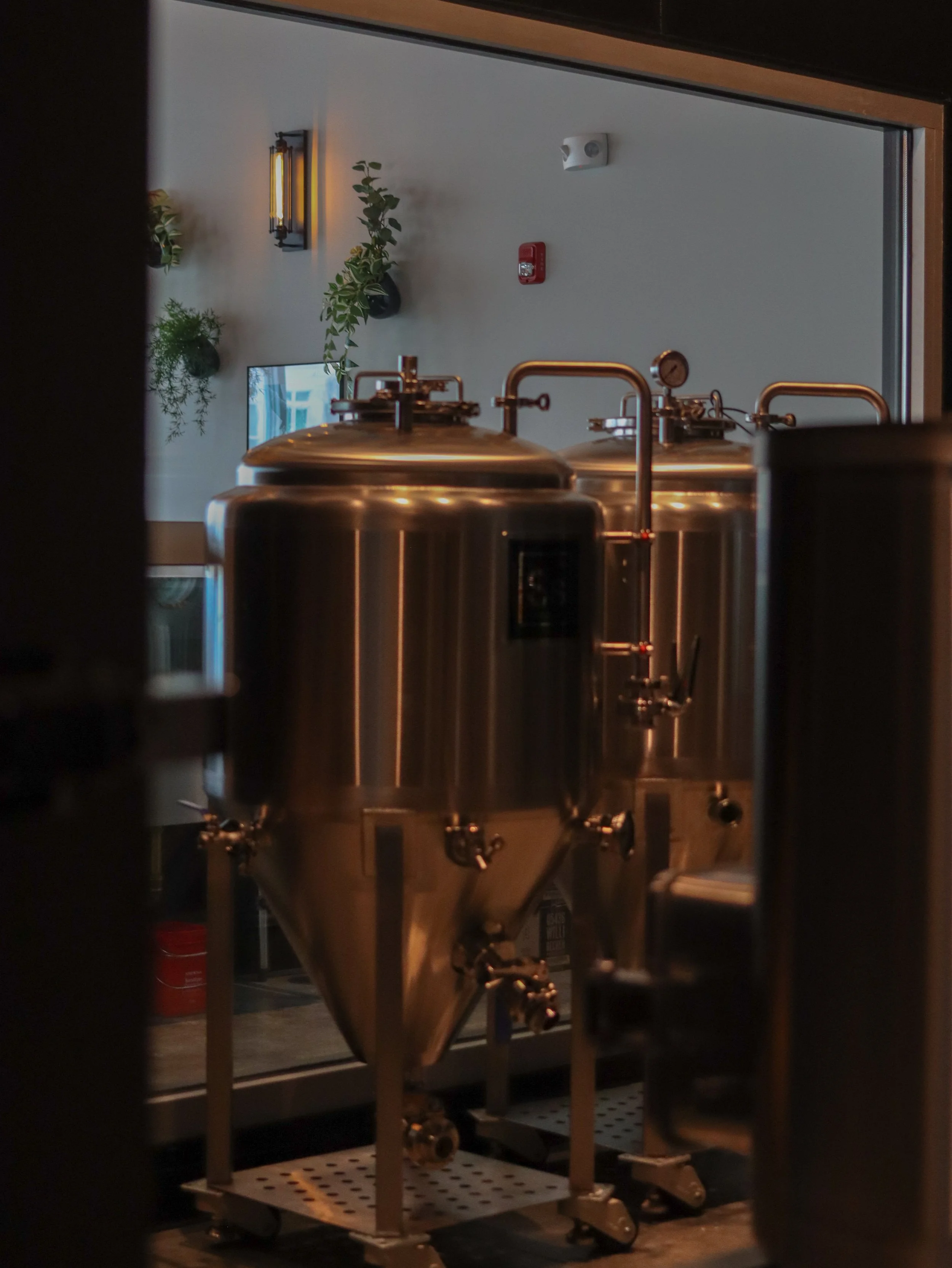 Plymouth — Untold Brewing