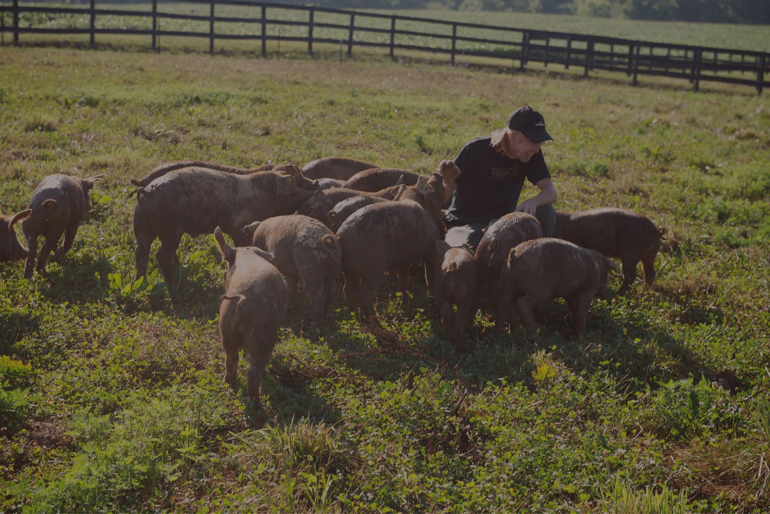 Red Hog Artisan Meat