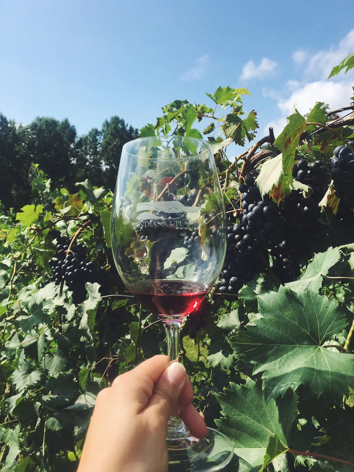 Wine Tasting in the Indiana Uplands — Em's On The Road