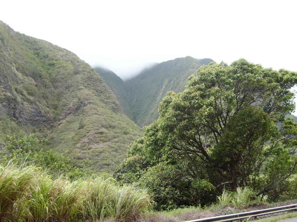 10 Best Things To Do in Maui: Insider Tips from an Ex-Resident — Em's ...