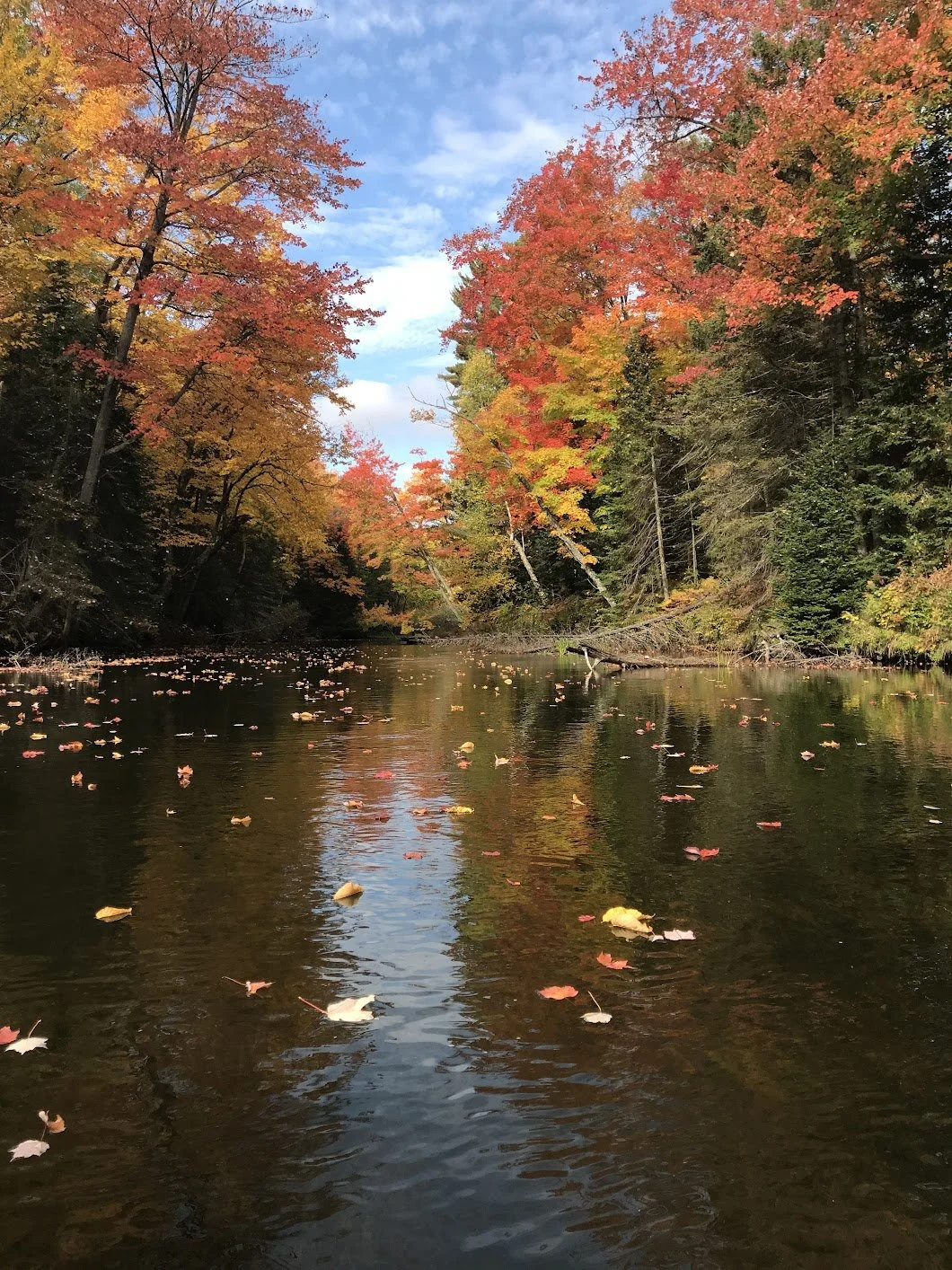 Marquette, Michigan Fall Foliage Local's Guide — Em's On The Road