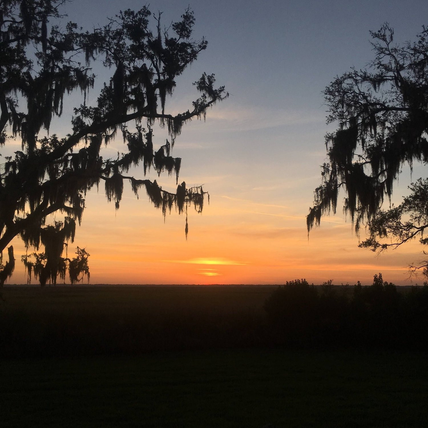 Top Tips For Planning a Trip to St. Simons Island Georgia — Em's On The ...