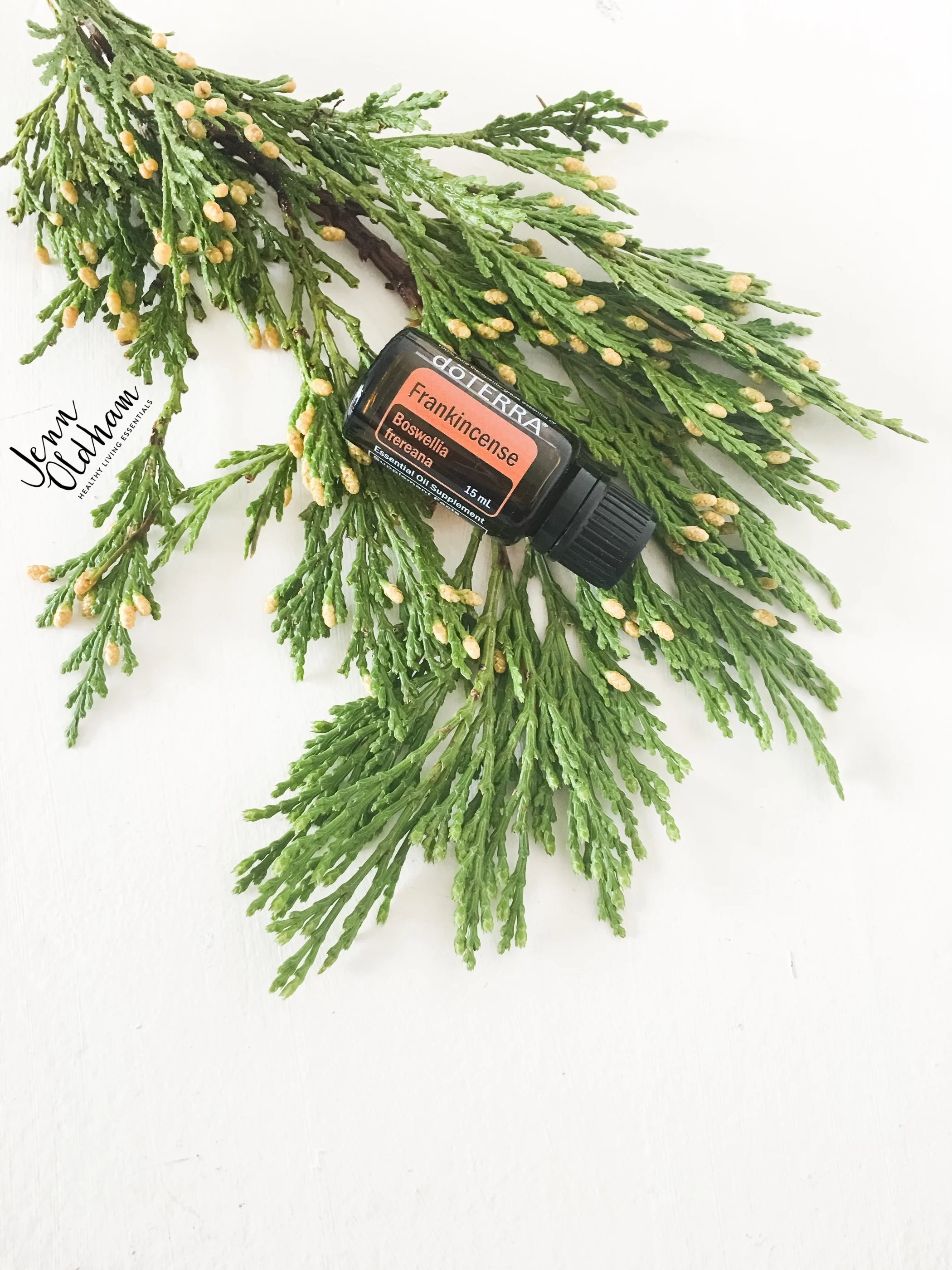 Product Image Gallery — Jenn Oldham
