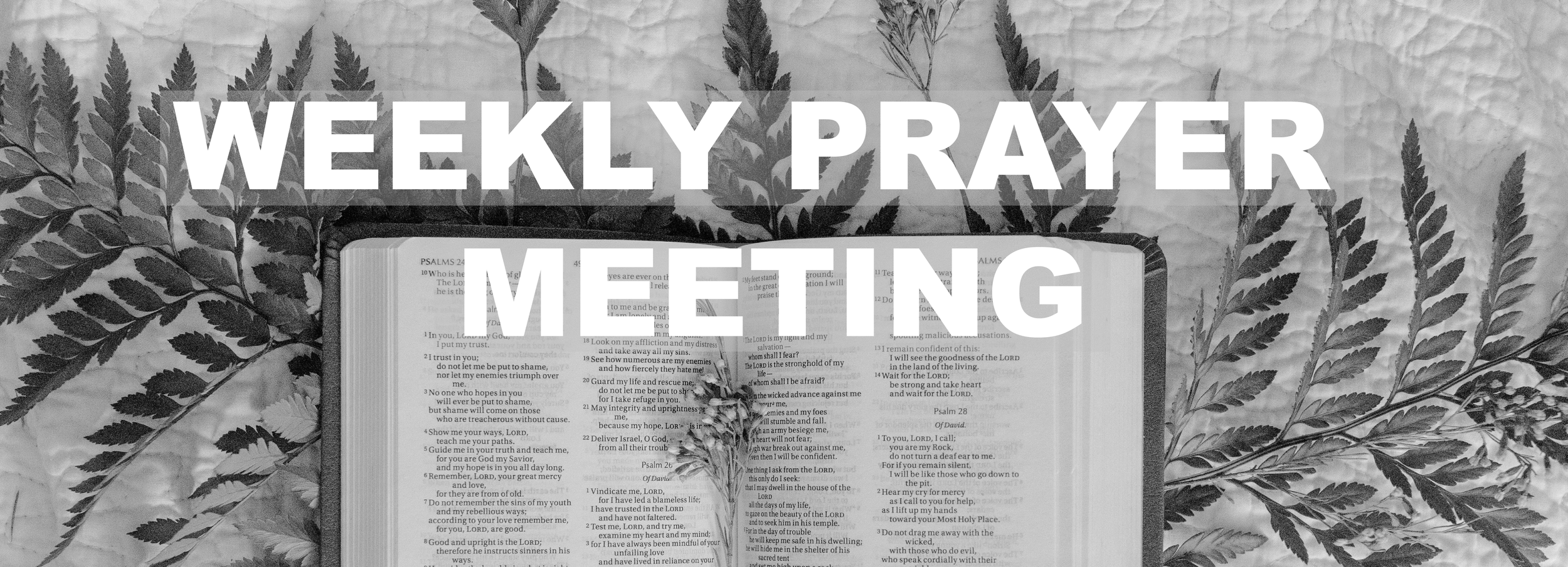 Upcoming Events — New Day Church NW