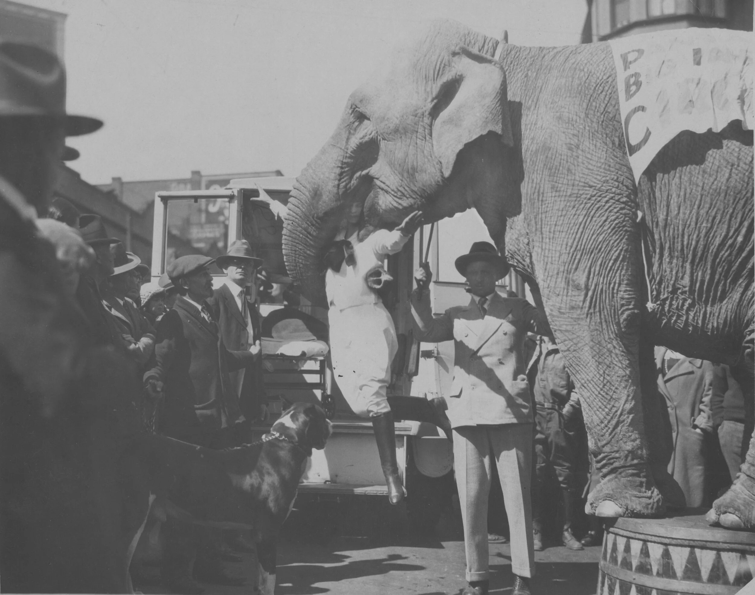 Jungleland — Stagecoach Inn Museum