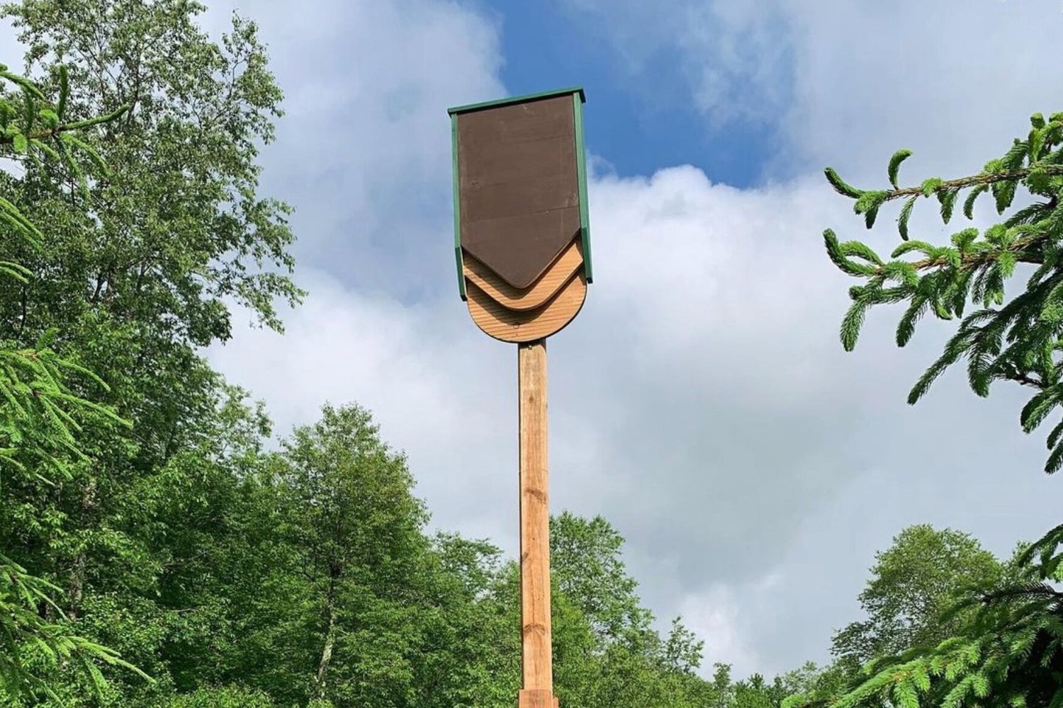 Installing your bat house on a wooden pole: A Step-by-Step Guide — BatBnB