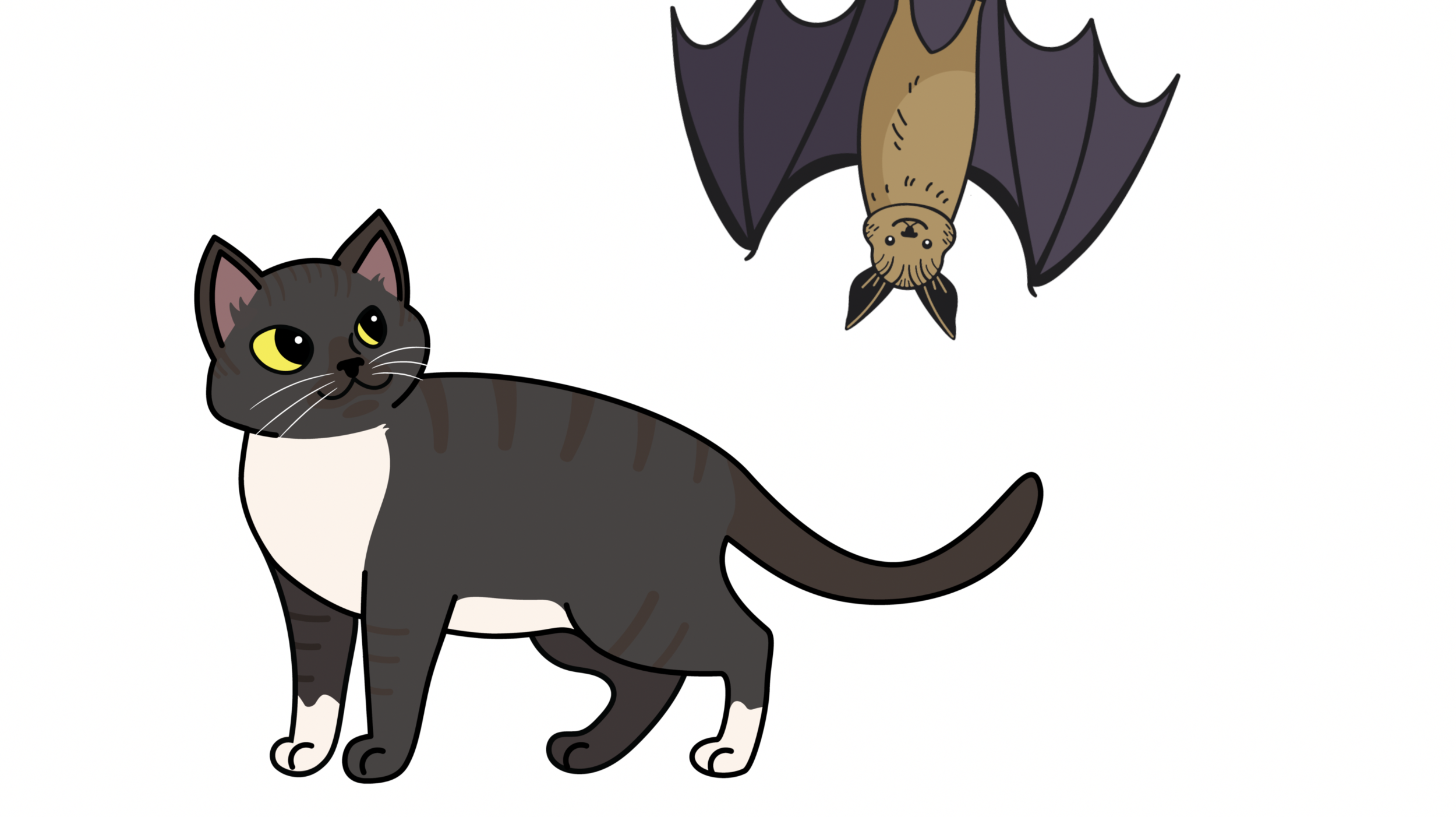 Are bats dangerous to my pets? — BatBnB