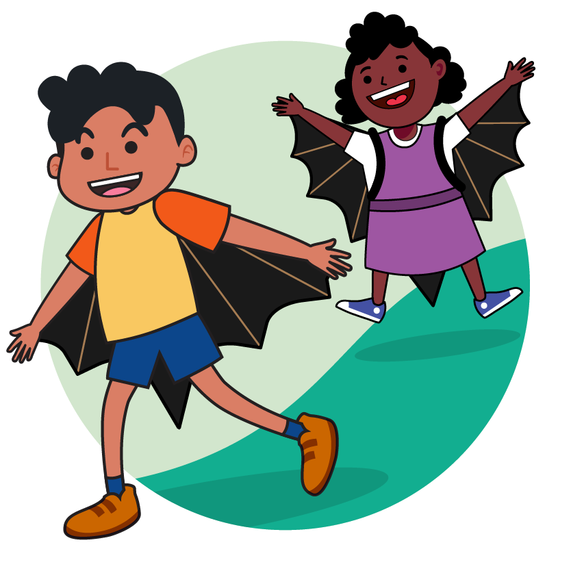 Bat Education Box- Resource for Teachers — BatBnB