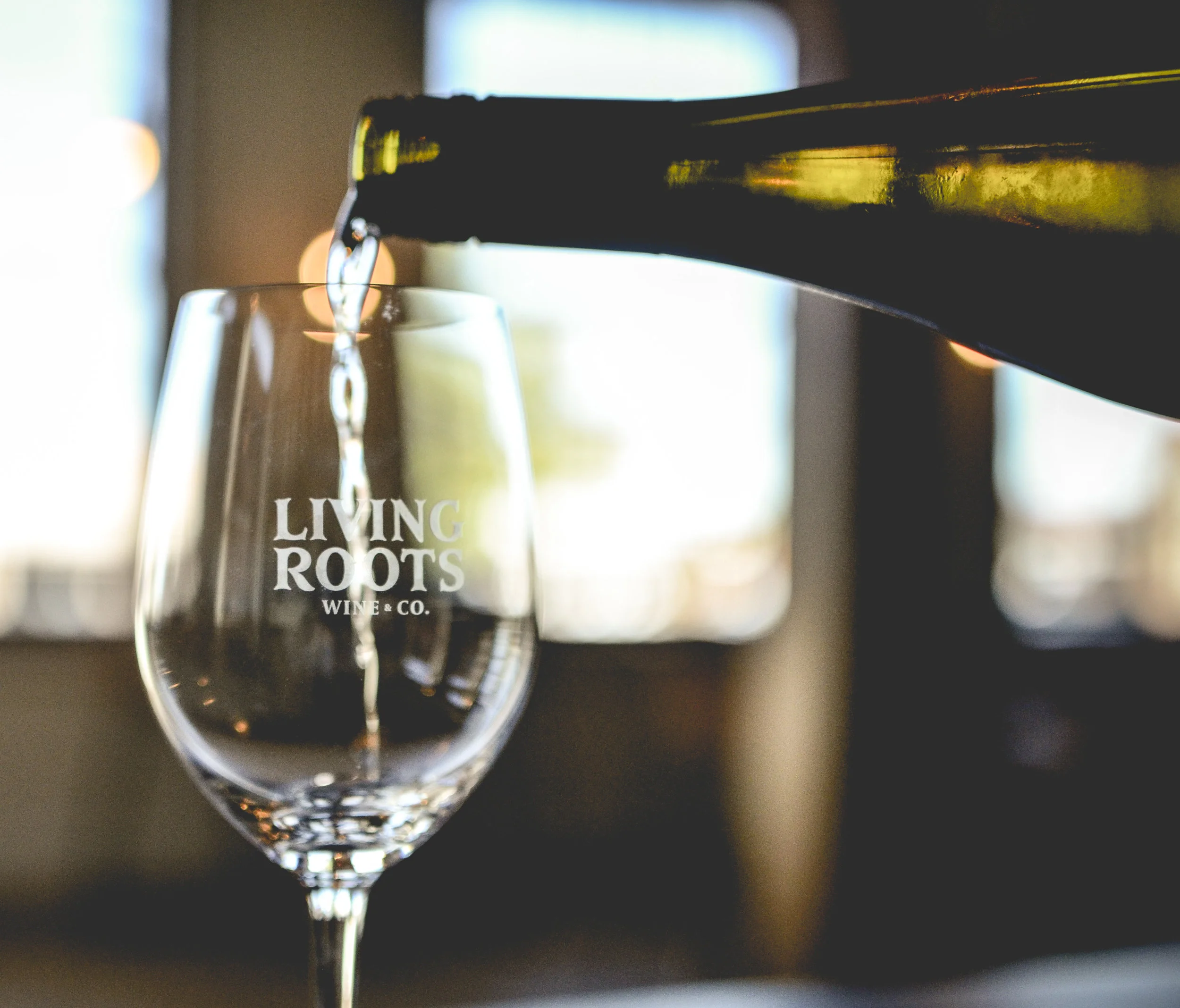 Living Roots Wine & Co. - Shop Gallery