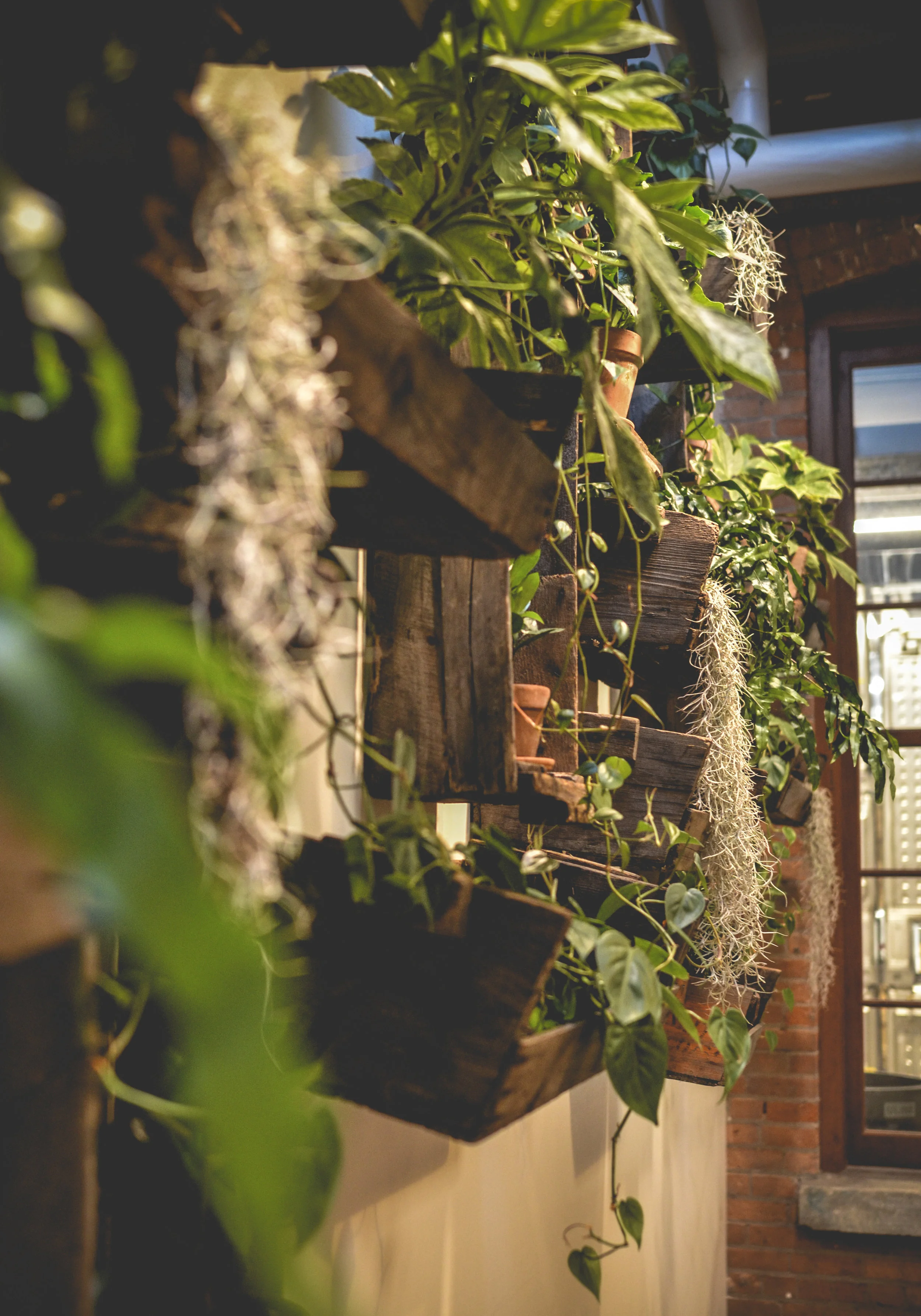 Living Roots Wine & Co. - Shop Gallery