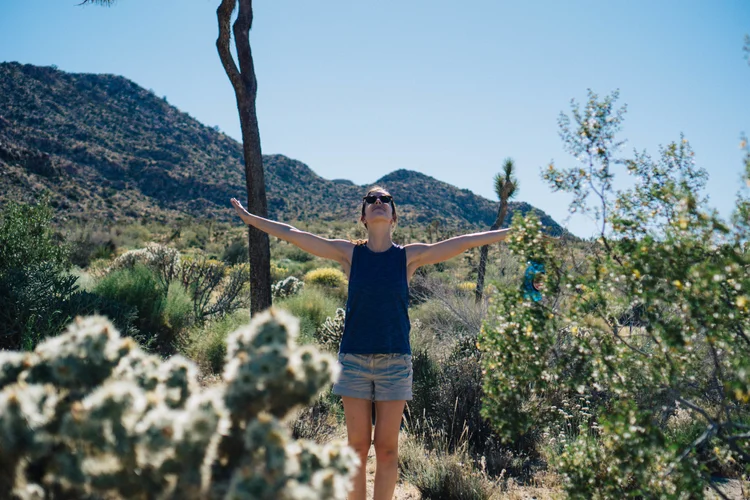 10 Photos That Prove Joshua Tree is Rad — Travel with the Allens