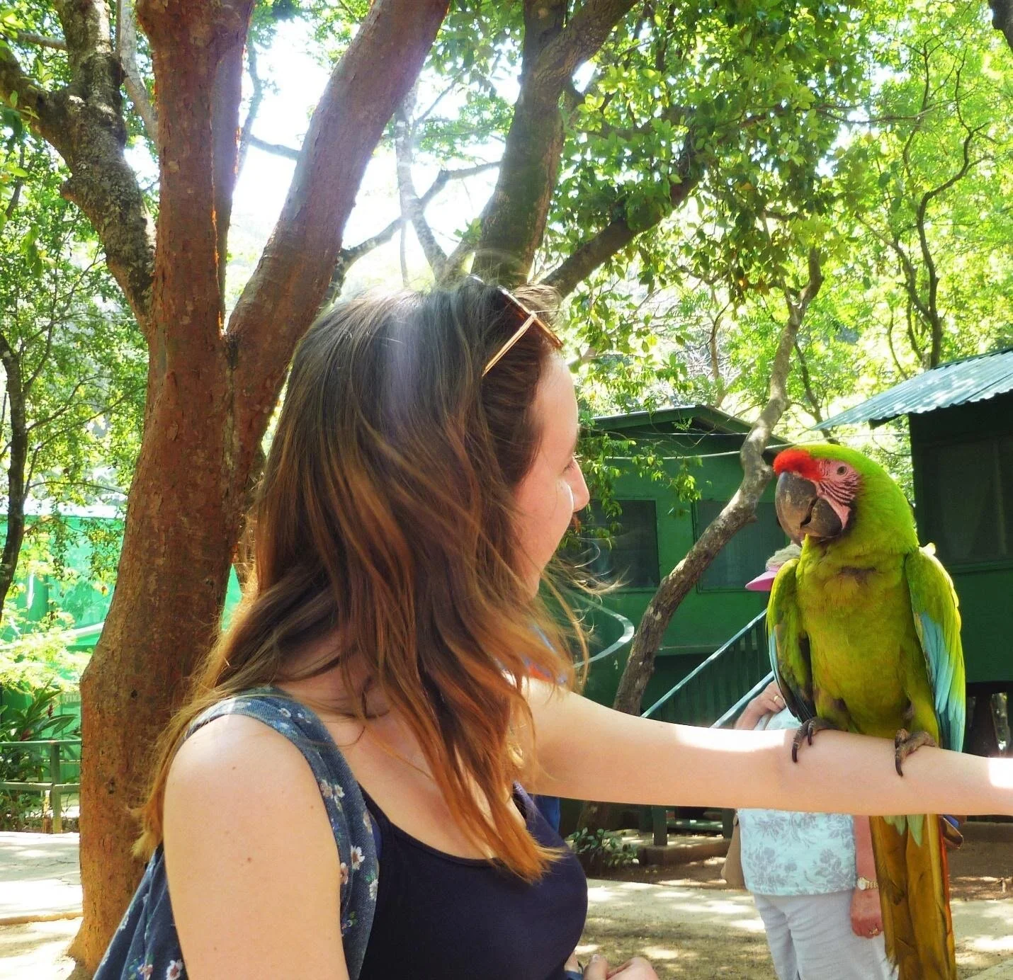 Writer of the Month: Charlotte Bird — City Girl Network