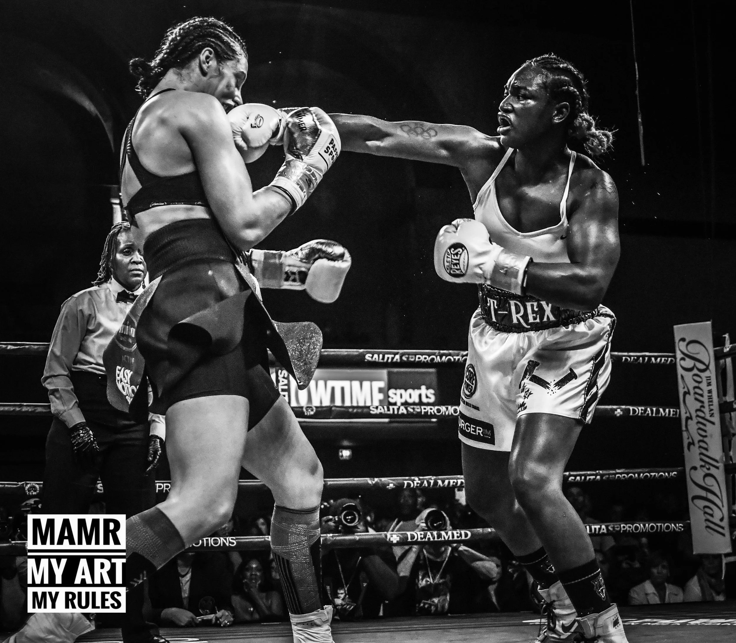 MY ART MY RULES —Claressa Shields Vs Christina Hammer