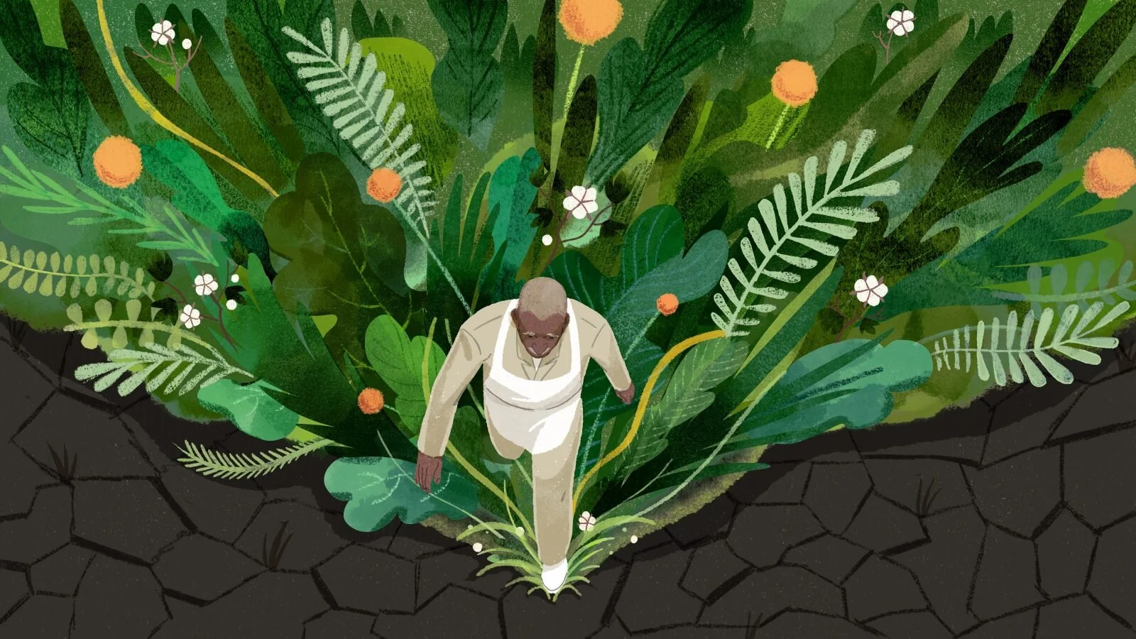George Washington Carver — The Carver