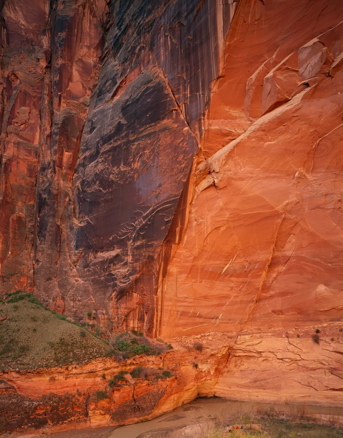 Large Format Film Photography