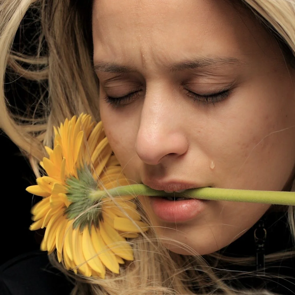 15 ways to use earth elements to clear toxic energy — rosa phoenix ...