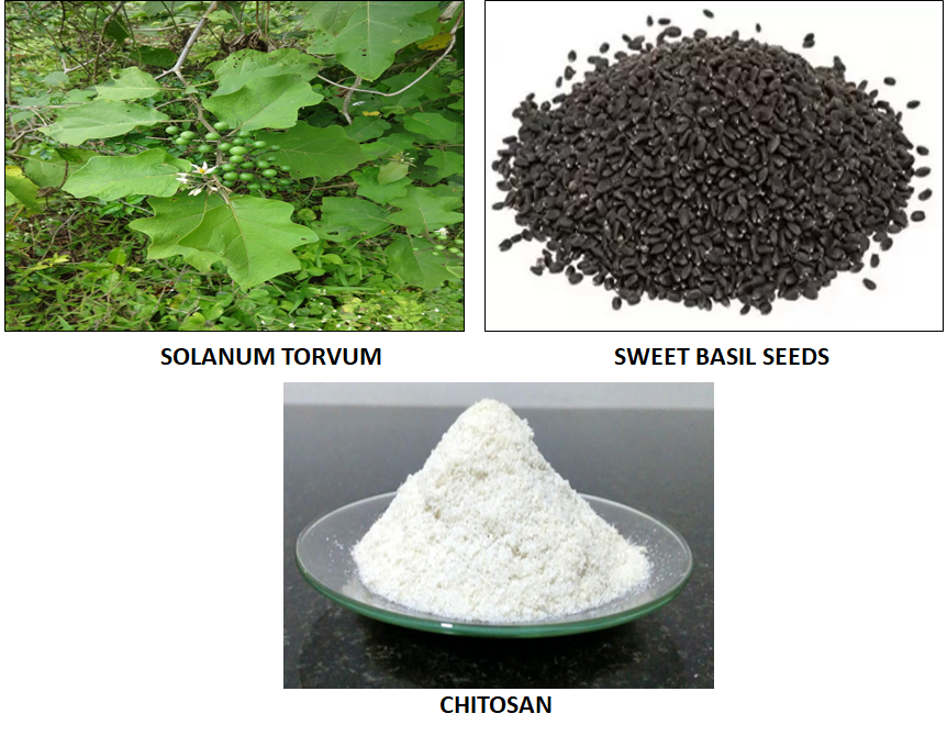 Research — PHYSIOLOGY SDC
