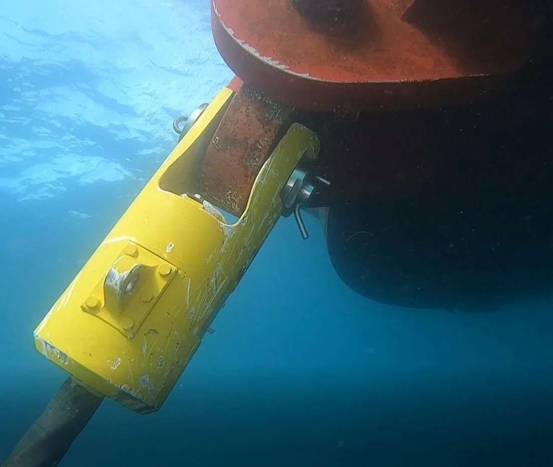 CoreMarine-What's News?