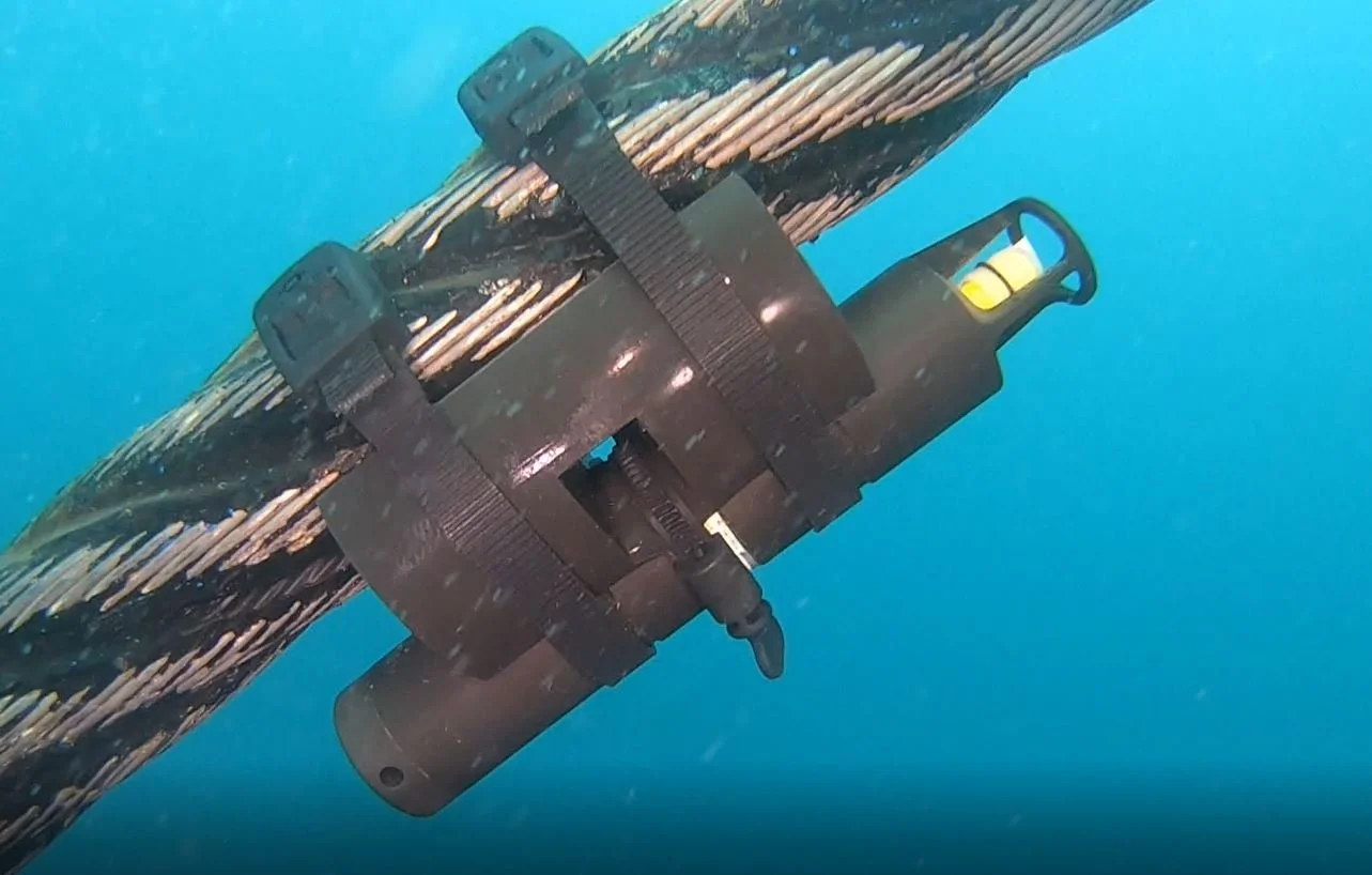 CoreMarine-What's News?