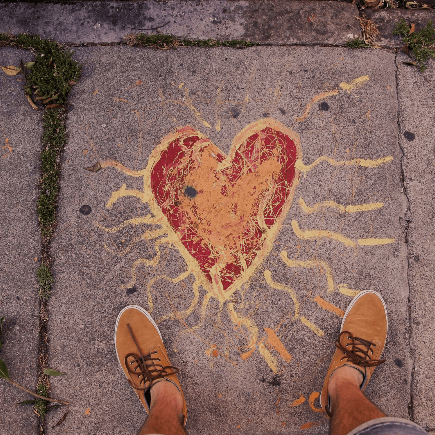 How to Give Back With Your Small Business — Signify I Fractional Chief ...